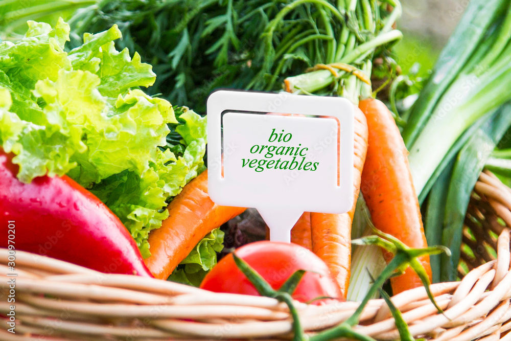 Bio organic vegetables with label Stock Photo | Adobe Stock