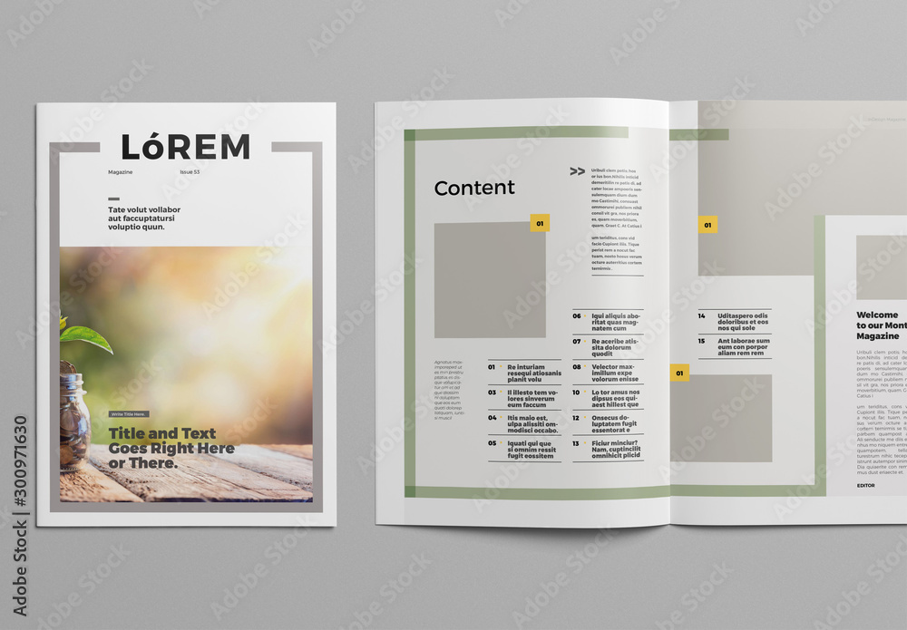 Magazine Layout with Multicolored Line Elements Stock Template | Adobe ...