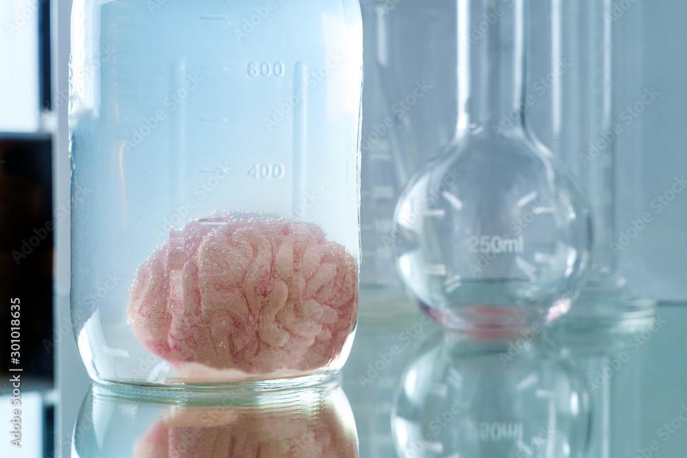 Preserved Brain
