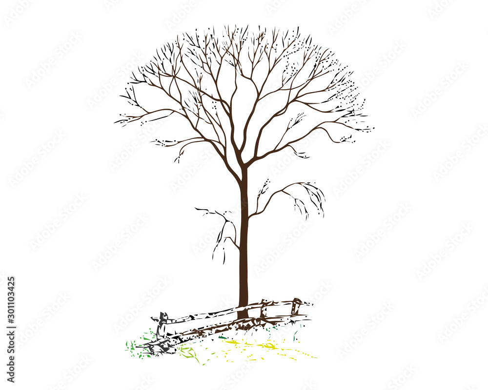Bare Tree Drawing Tumblr