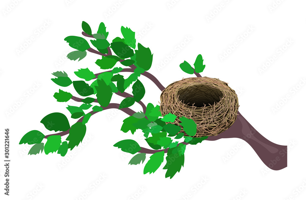 Cute cartoon nest isolated on a white background. Vector illustration ...