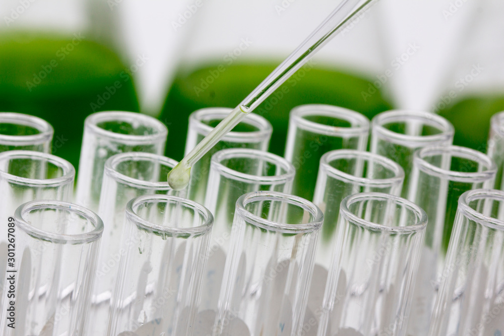 Marine plankton or Microalgae culture into a test tube in laboratory ...