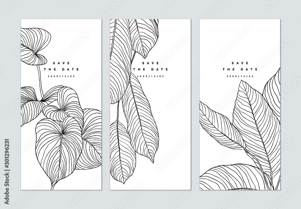 Set of botanical brochure cover template design, leaves line art ink ...