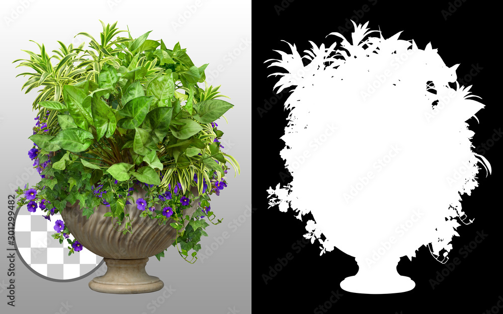 Cut out plant in pot. Potted plant. Green plant in summer isolated on ...