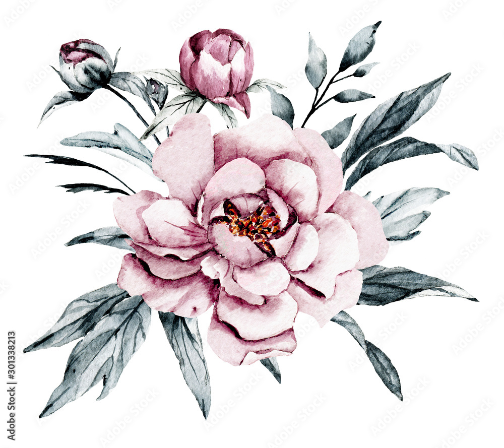 Peony Flower Clip Art