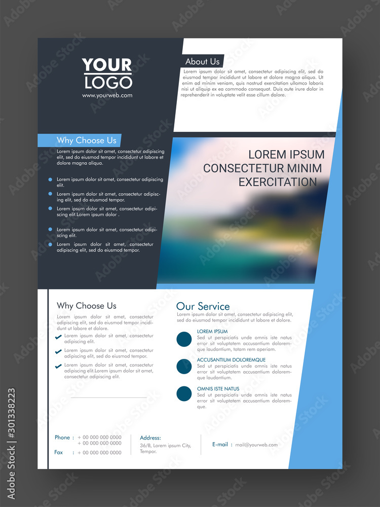 One Page Professional Business Flyer or Pamphlet. Stock Vector | Adobe ...