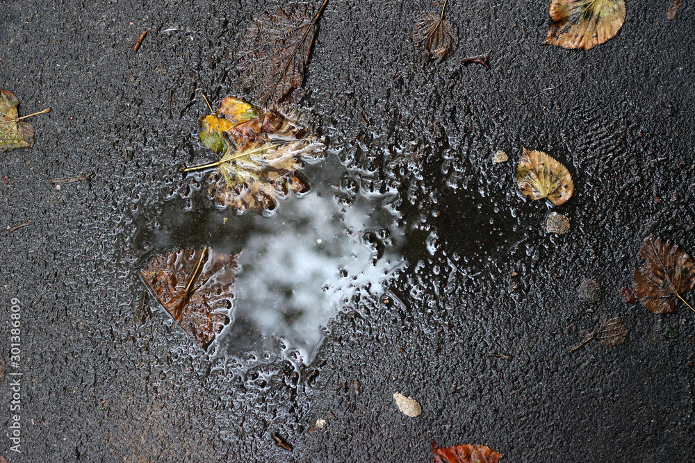 Rain Puddle On Sidewalk