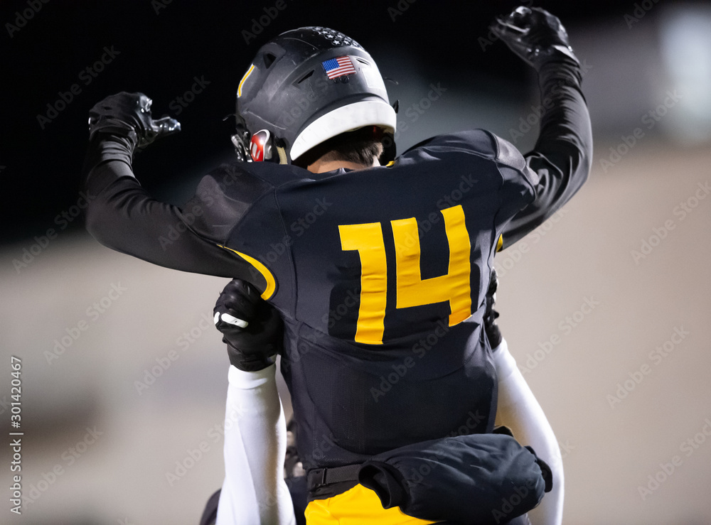 Great action photos of football players making amazing plays during a ...