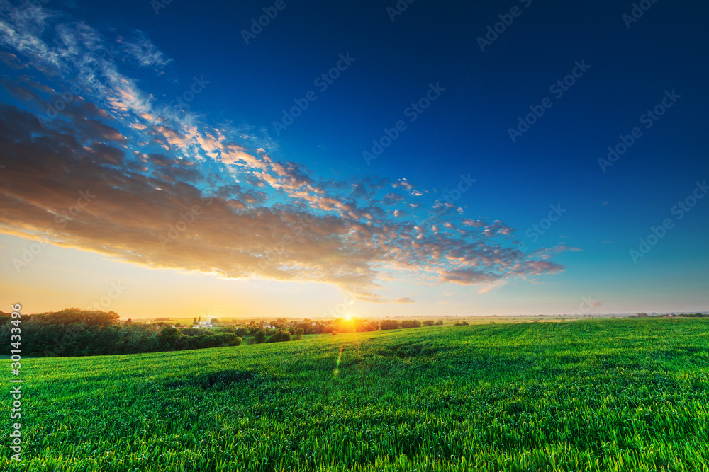 Green Field and Beautiful Sunset.. wall mural wallpaper | Muraledesign.com
