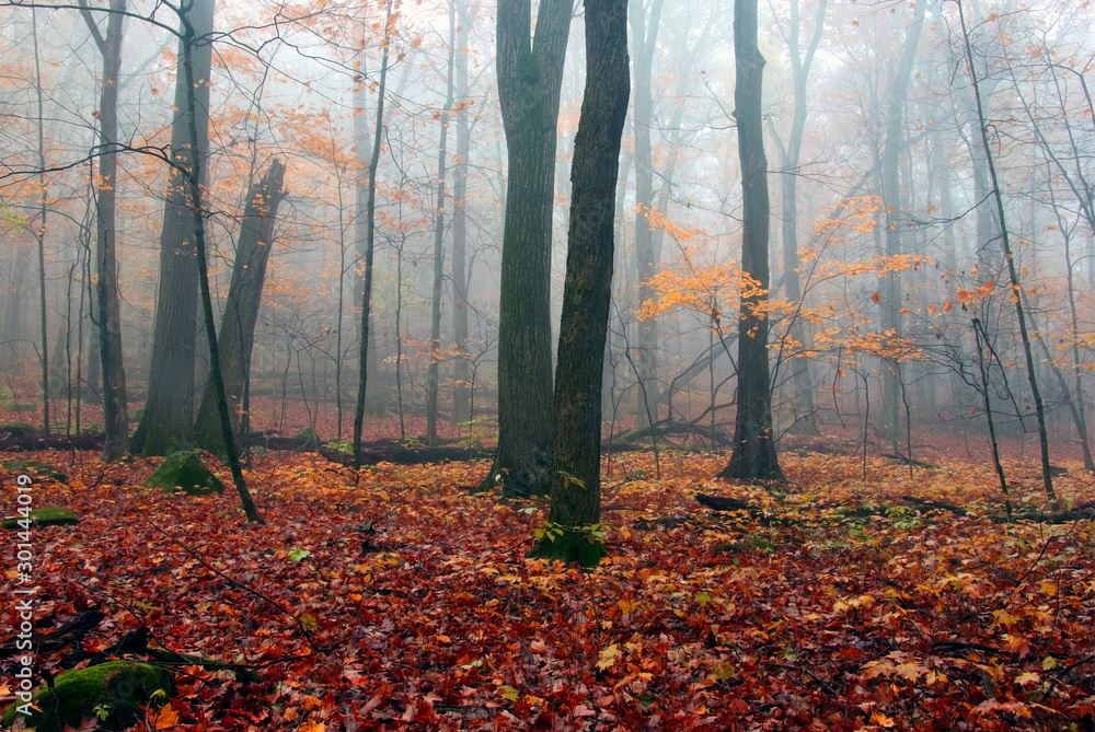 Beautiful Wisconsin ice age nature background. Scenic autumn landscape ...