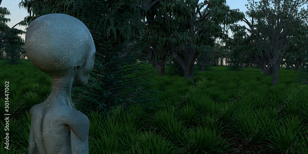 Alien Grey Humanoid Extraterrestrial Being in a forest extremely ...