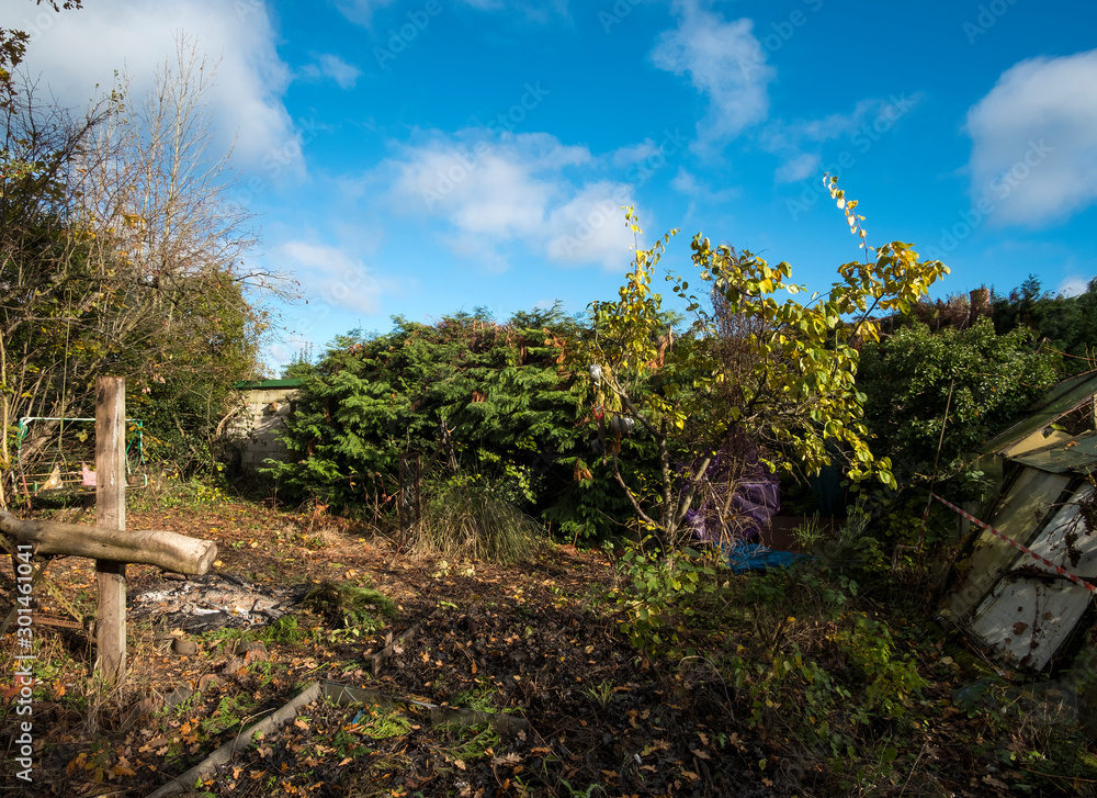 Untidy Garden | Fasci Garden