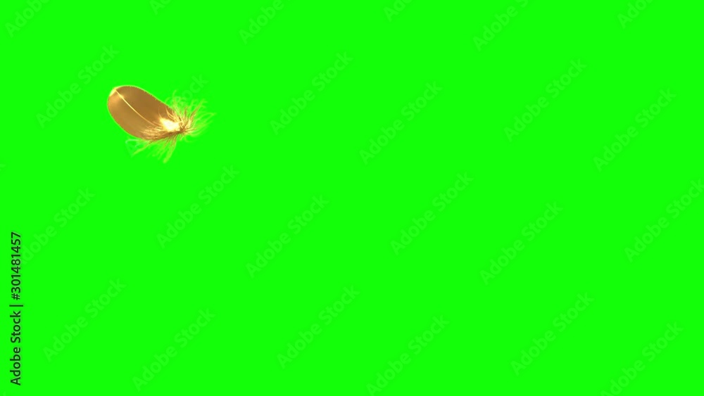 4K. Flying Golden Feather. Green Screen. Seamless Looping. 3D Animation ...