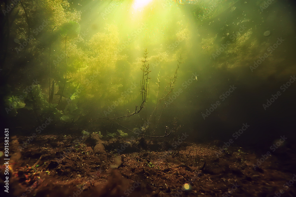 underwater freshwater green landscape / underwater landscape of the ...