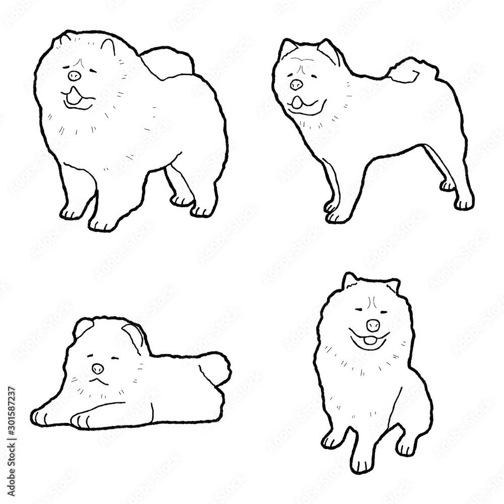 Chow Chow Animal Vector Illustration Hand Drawn Cartoon Art Stock ...