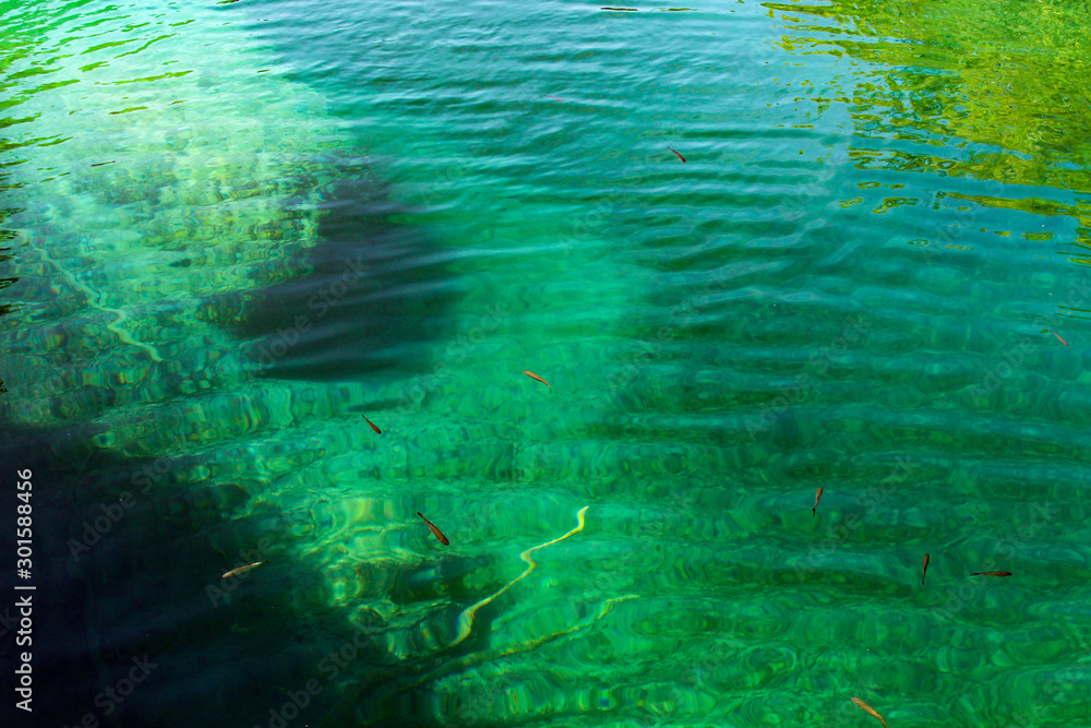 Plitvice Lakes National Park. Transparent, clear water. Bottom of the ...