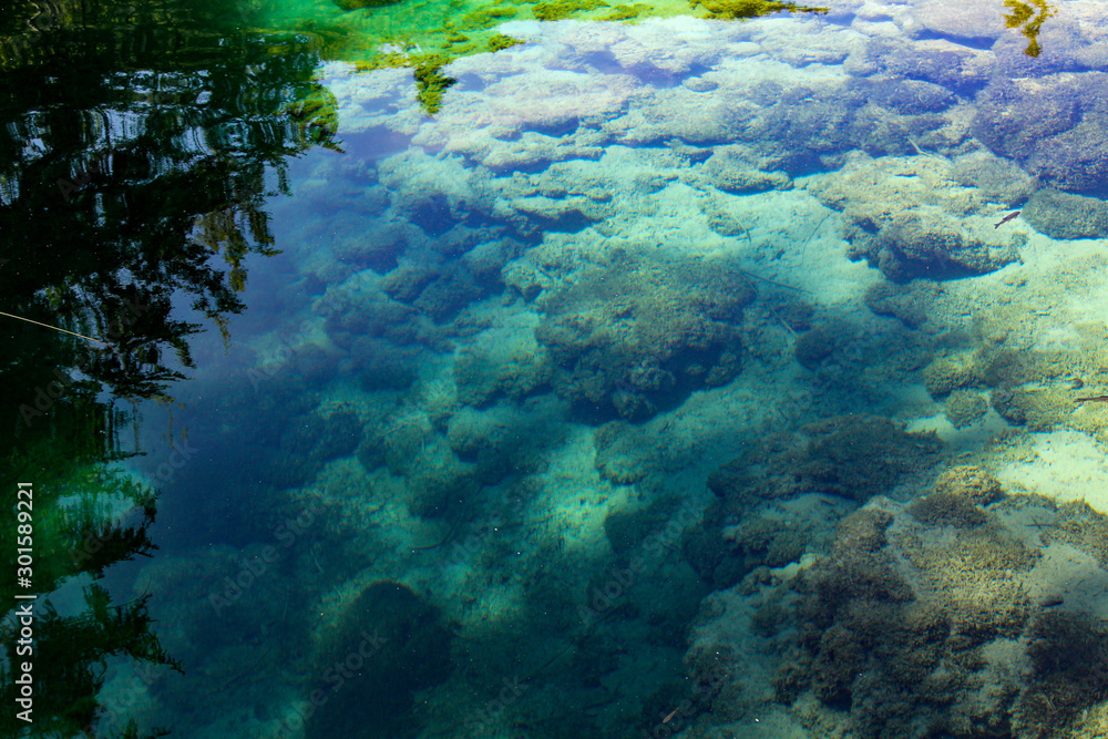 Plitvice Lakes National Park. Transparent, clear water. Bottom of the ...