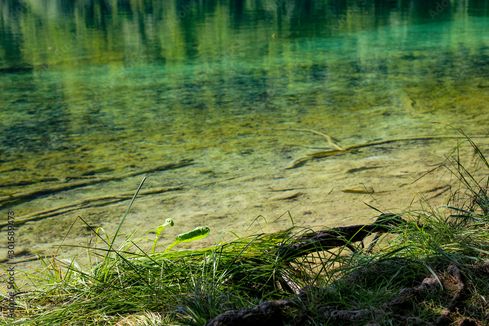 Plitvice Lakes National Park. Transparent, clear water. Bottom of the ...