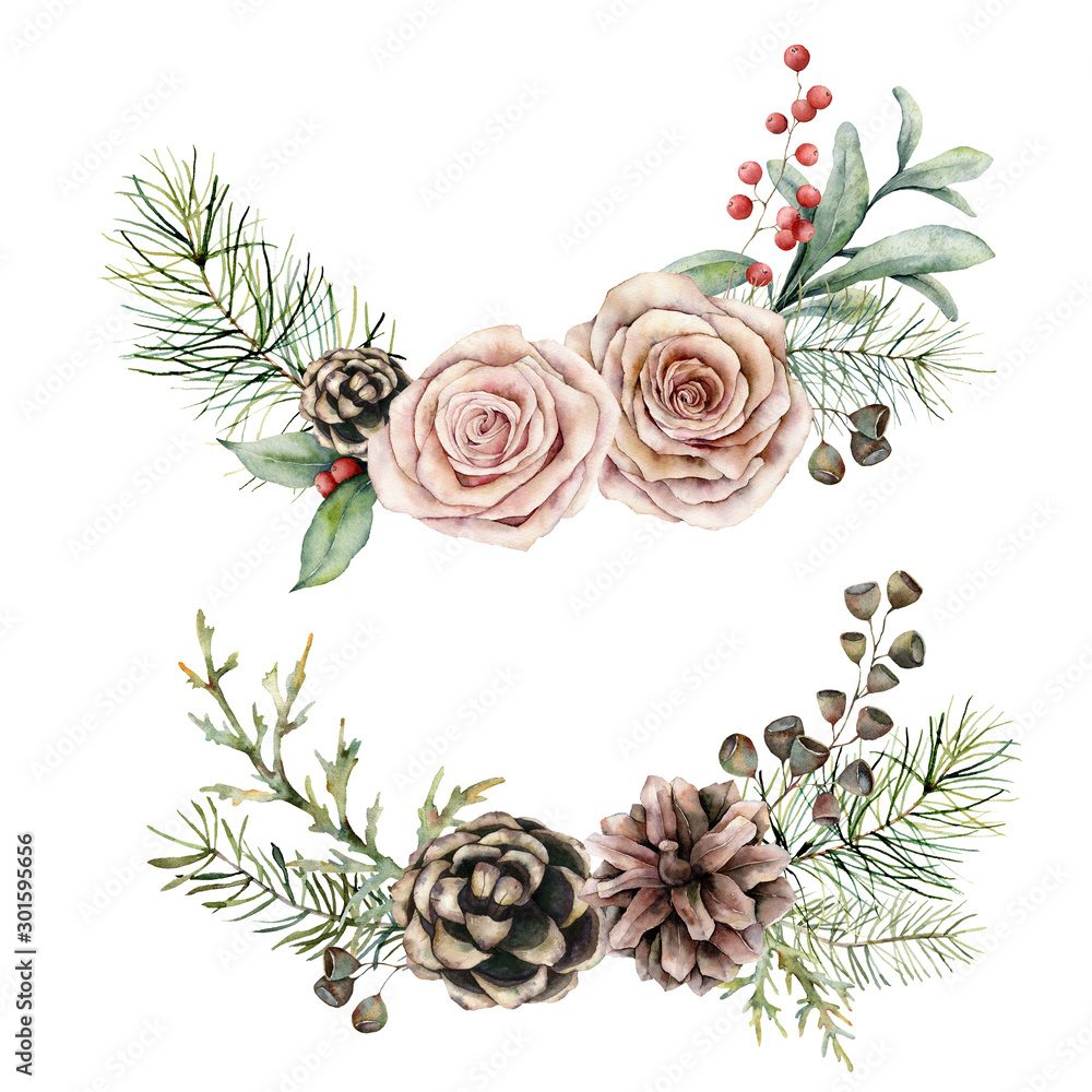 Watercolor roses, pine cone and branch set. Hand painted floral ...