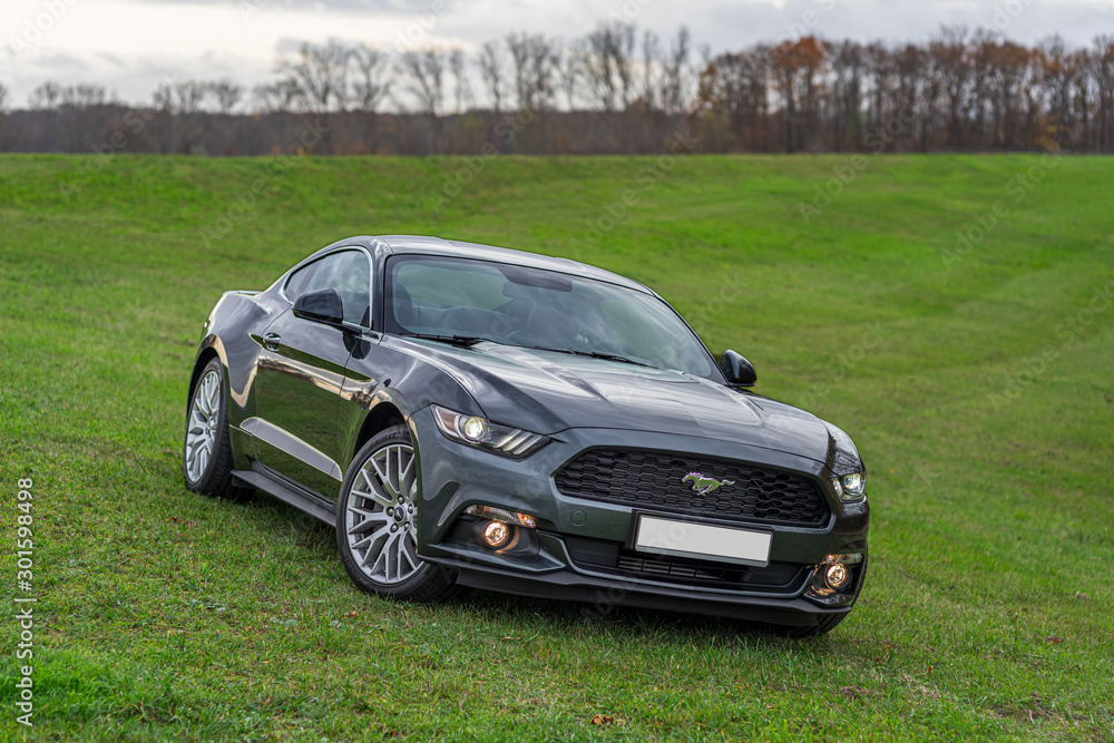 Ford Mustang GT 5 Liter Coupe Stock Photo | Adobe Stock
