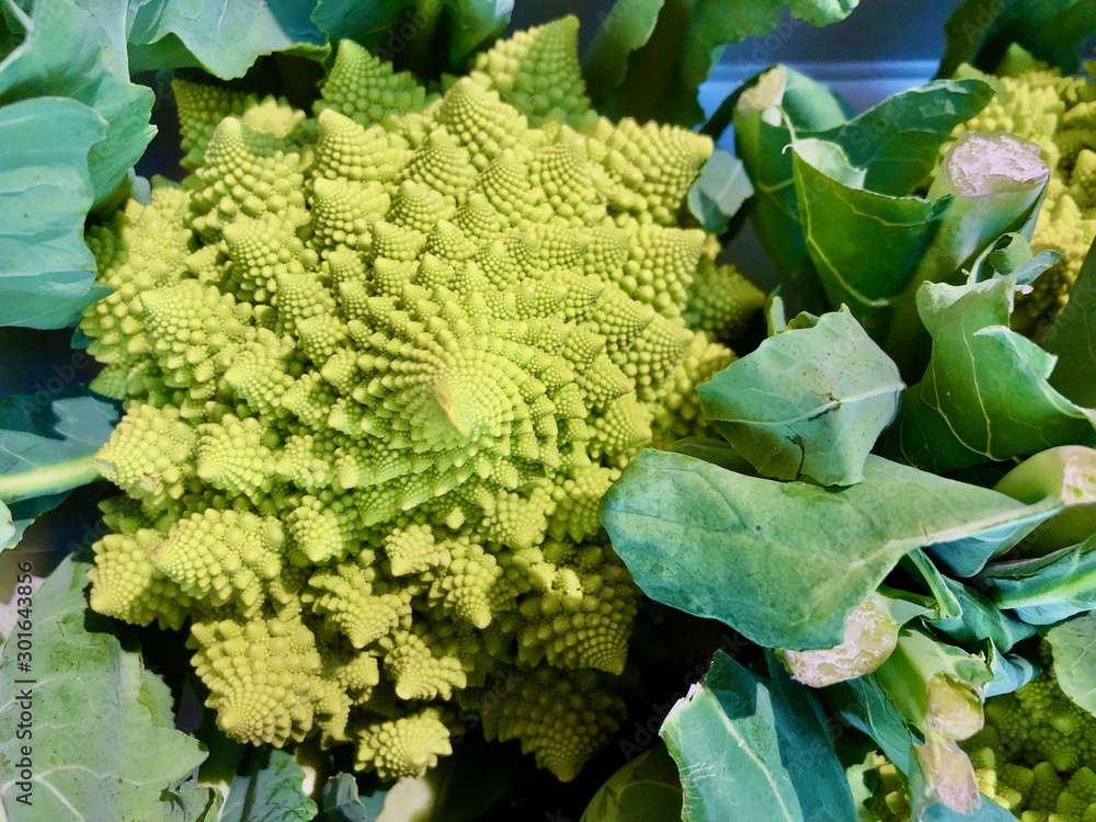 Background texture: exotic vegetables. Patterns of Green Cabbage ...