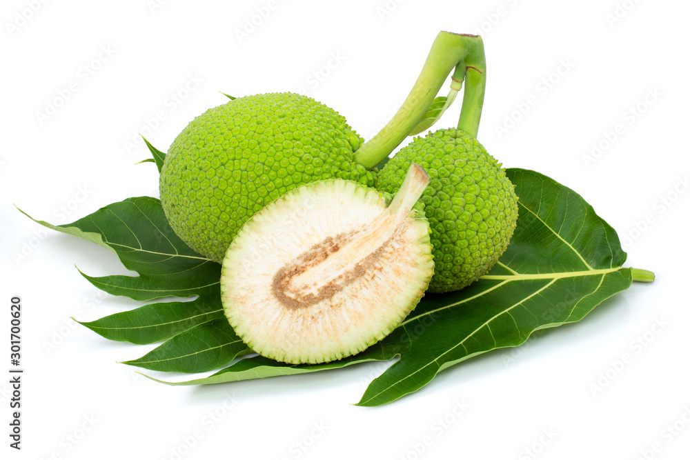 Close up heap of breadfruit (known as bread nut, Artocarpus altillis ...