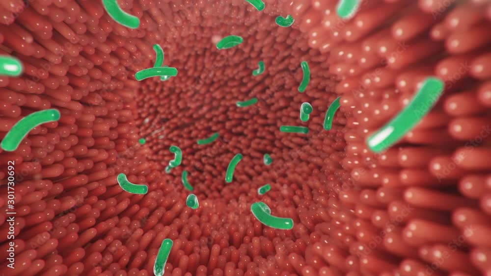 Intestinal villi with bacteria and viruses. Microscopic villi ...