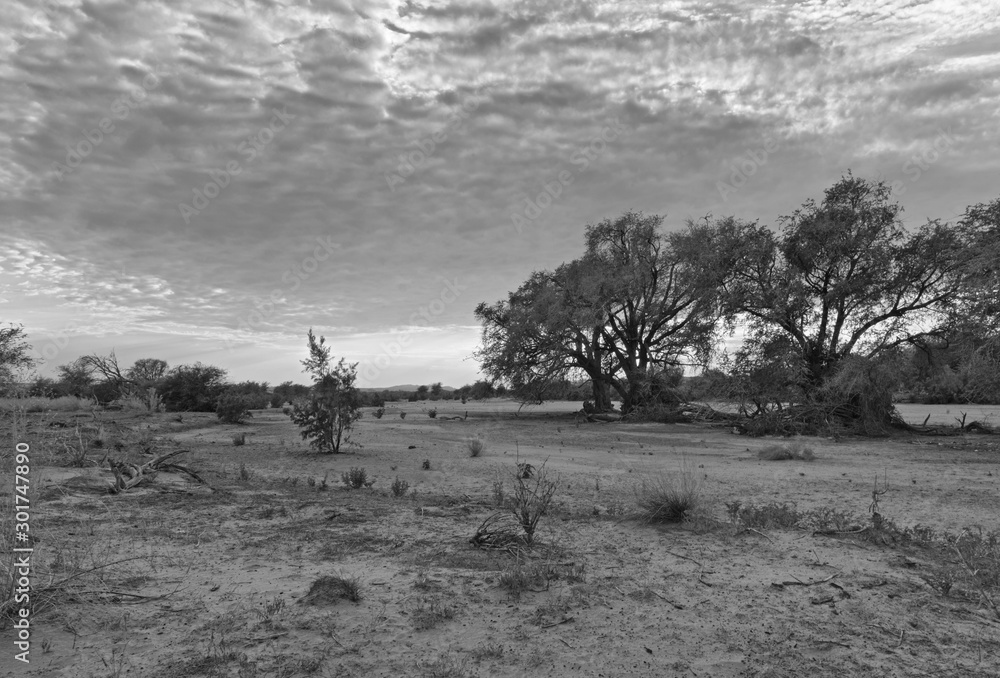 the dry riverbed of the swakop river in the morning in black and white ...