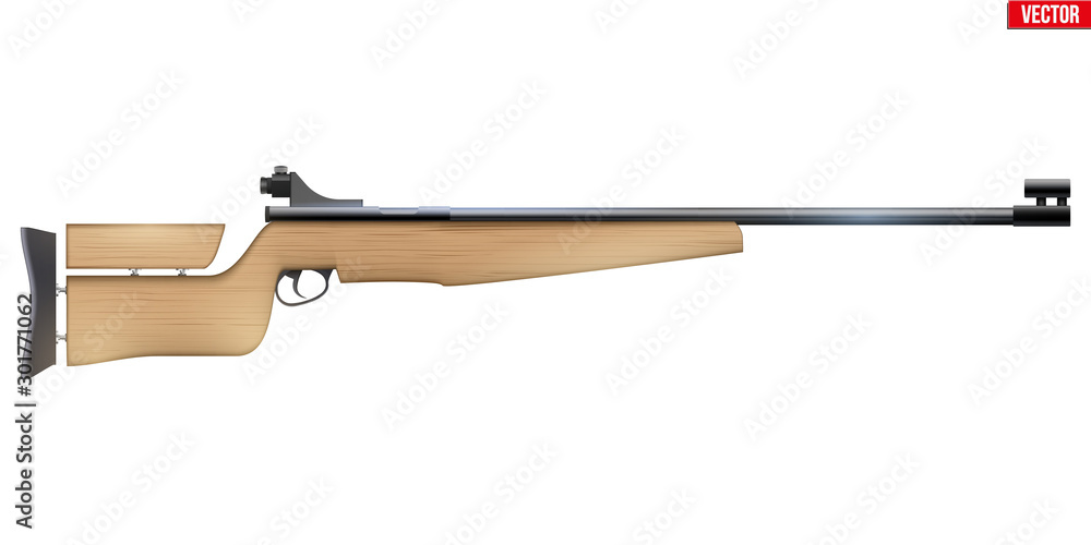 Long Rifle Equipment for Shooting Sport. Games of Shooting Range ...