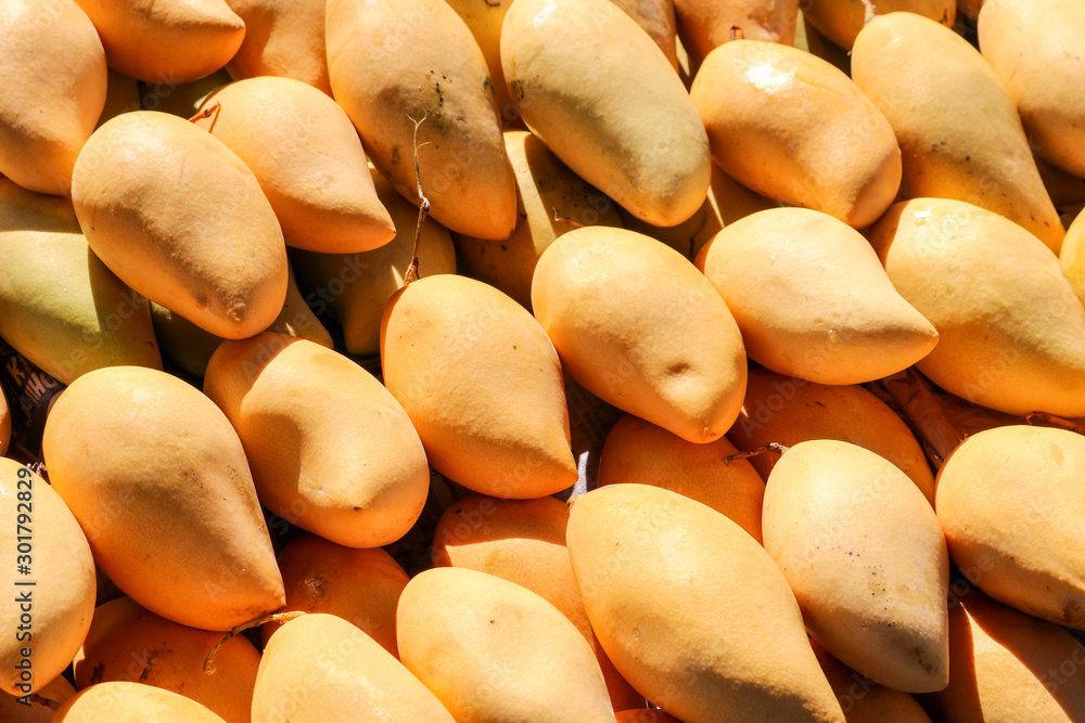 Foto de Organic Nam Dok Mai mangoes for sale at the fruit market. The ...