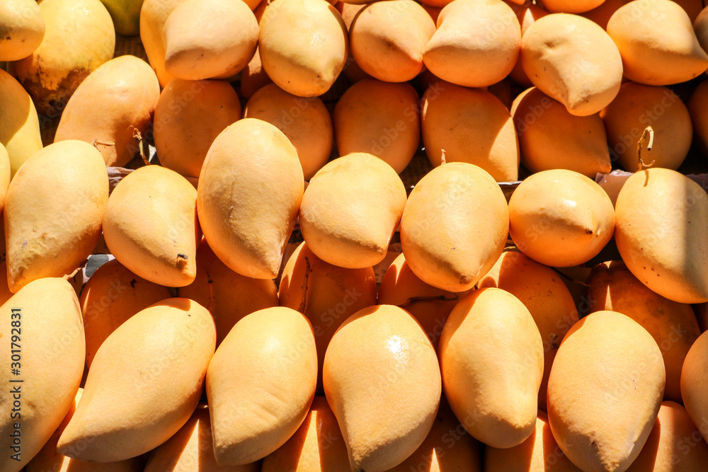 Organic Nam Dok Mai mangoes for sale at the fruit market. The Nam Doc ...