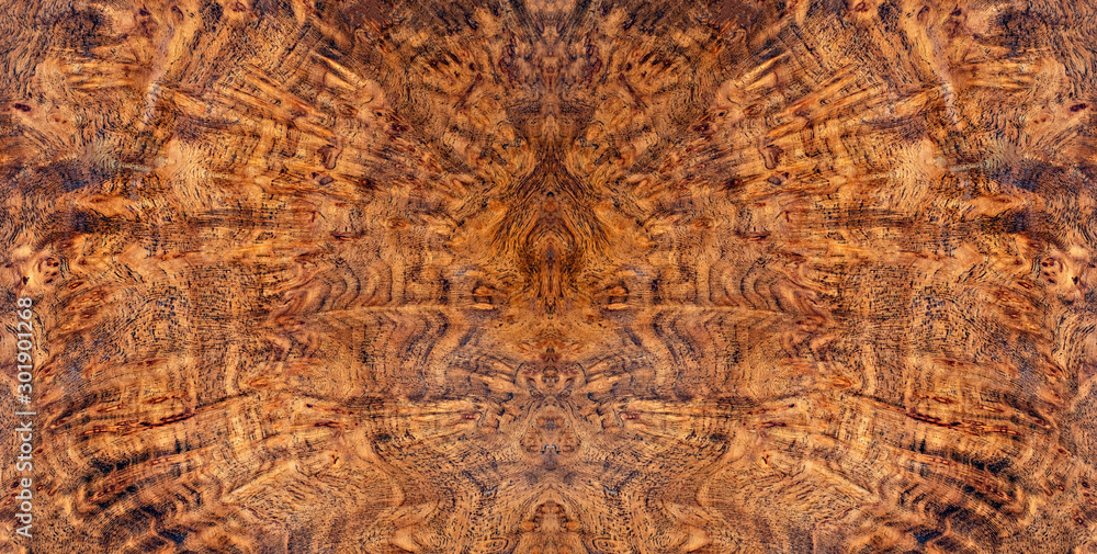 Nature burl wood Stock Photo | Adobe Stock