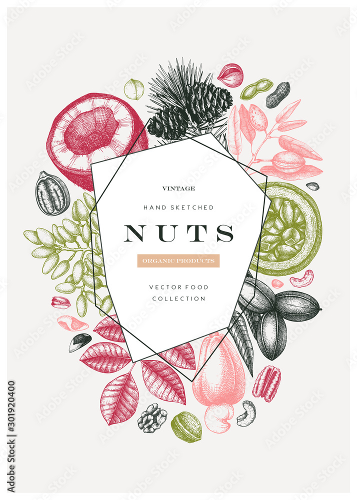 Hand drawn nut wreath design. With vector pecan, macadamia, hazelnut ...