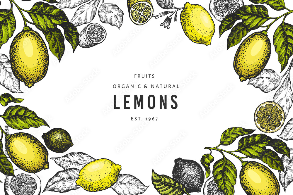 Lemon tree design template. Hand drawn vector fruit illustration ...