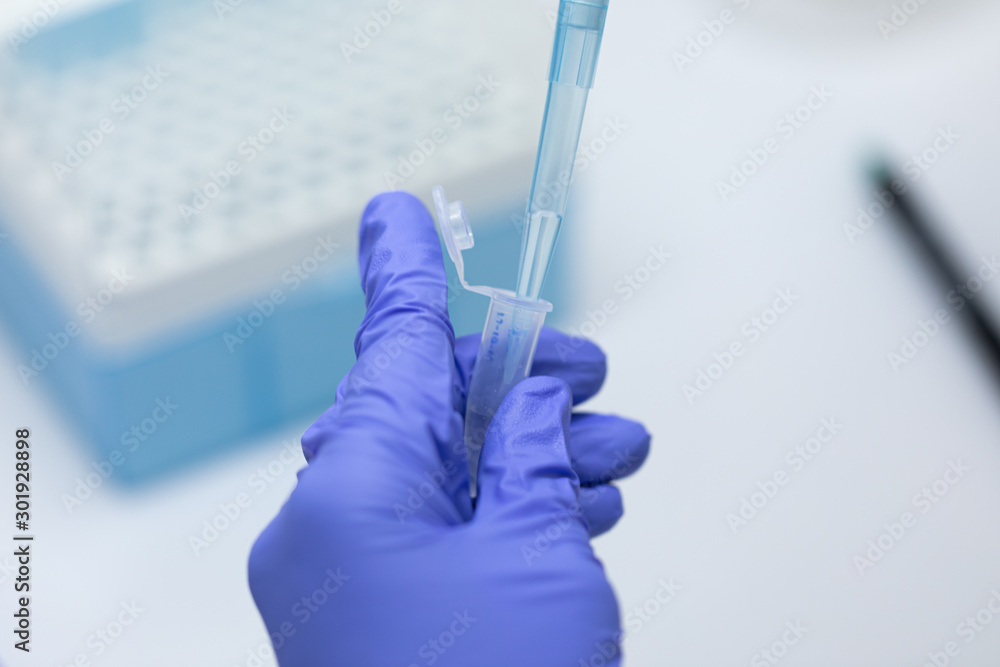 Polymerase Chain Reaction (PCR) and Agarose gel electrophoresis is a ...