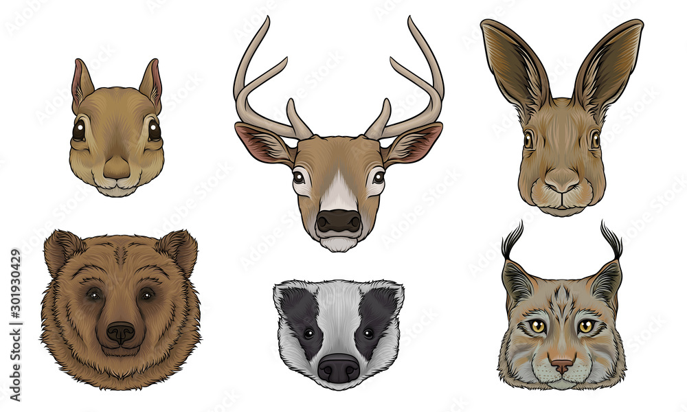 Wild Animals Muzzles Vector Set. Highly Detailed Neb Collection Stock ...