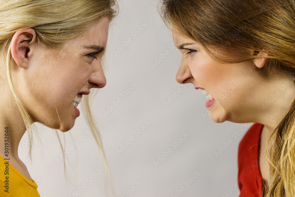 Angry fury girls screaming at each other Stock Photo | Adobe Stock