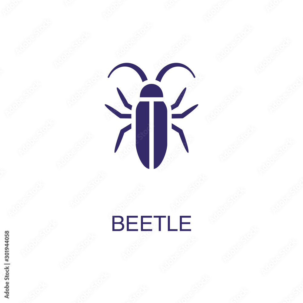 Beetle Template
