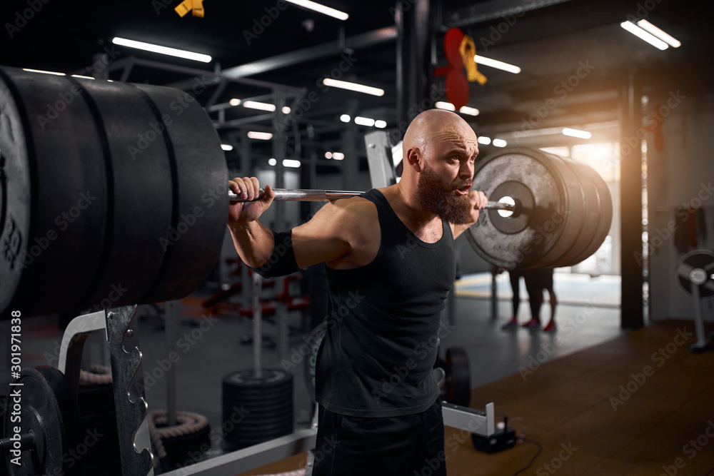 Strong active powerlifter attempting to lift heavy barbell row ...