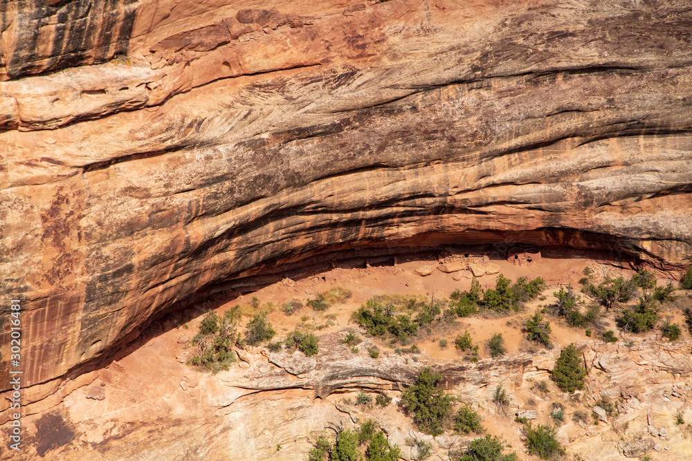 Anasazi Cliff dwelling tucked into the face of this cliff can be seen ...