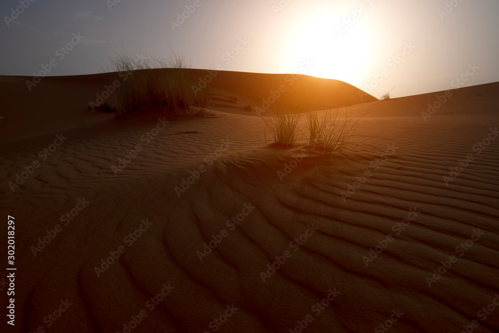 The beauty of the sand dunes in the Sahara Desert in Morocco. The ...