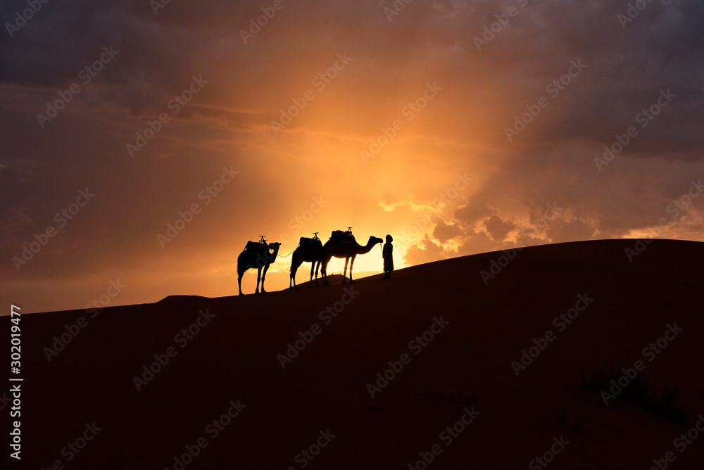 Foto de The beauty of the sand dunes in the Sahara Desert in Morocco ...