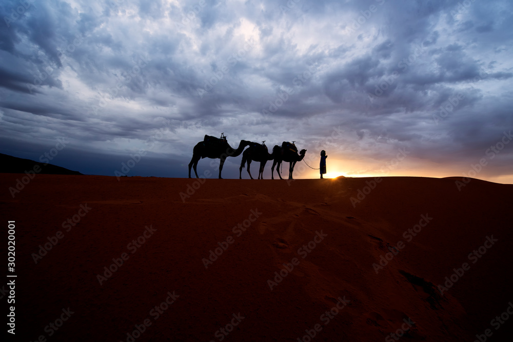 The beauty of the sand dunes in the Sahara Desert in Morocco. The ...