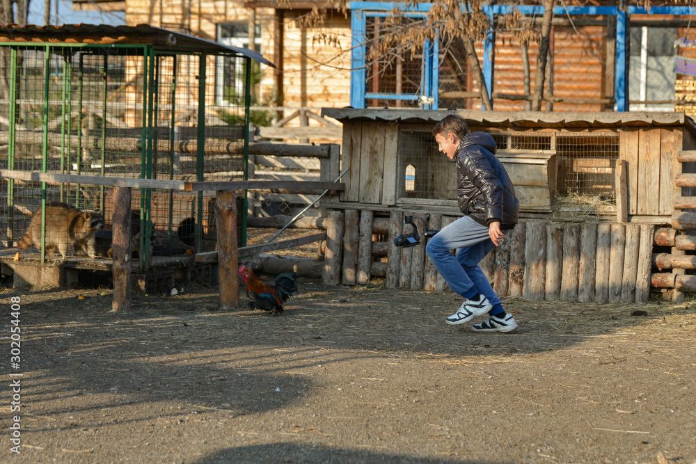 The guy the photographer runs after the chicken and shoots it on a ...