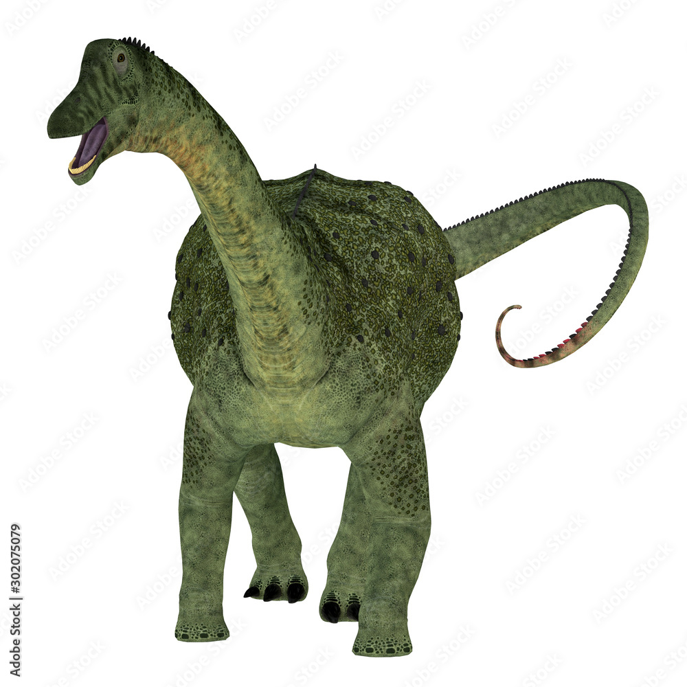 Saltasaurus Dinosaur on White - Saltasaurus was a herbivorous sauropod ...