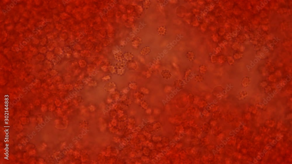 Blood under a microscope, the movement of spur-shaped red blood cells ...