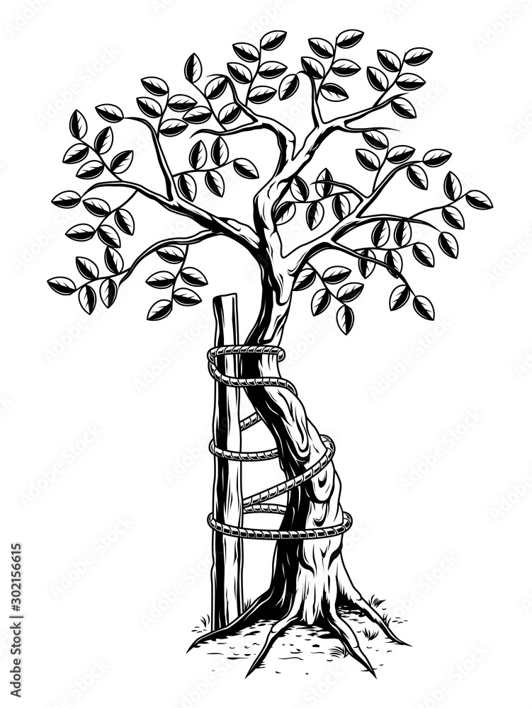 Monochrome tree of Andry Stock Vector | Adobe Stock
