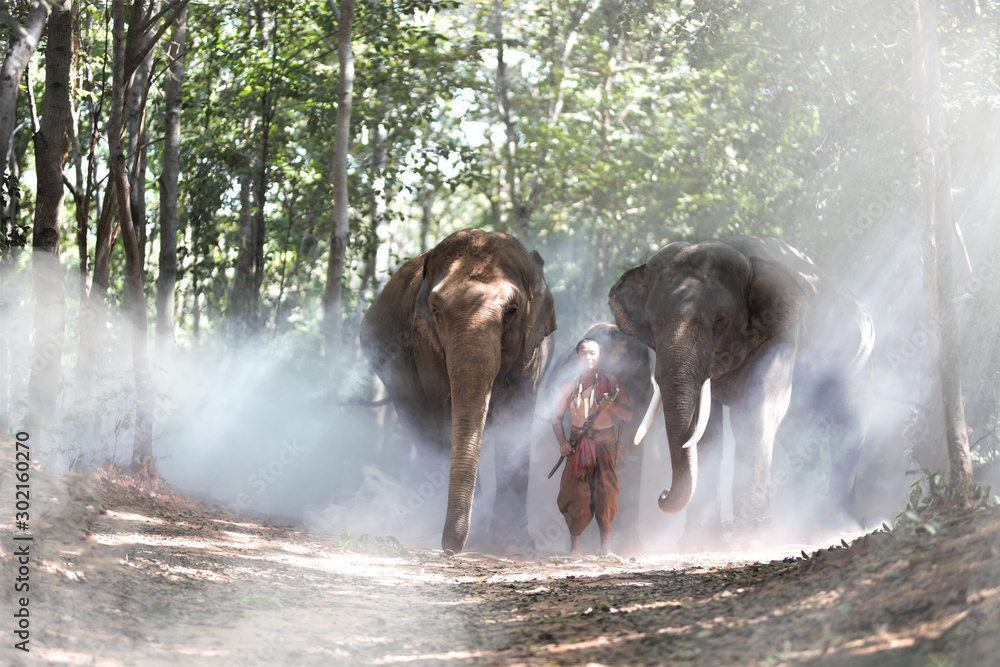 Shepherd in the jungle with elephantsThe elephants performed the ritual ...