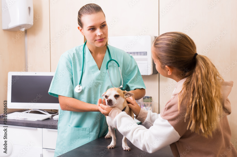 Teenager girl with little dog asking for professional advice from ...