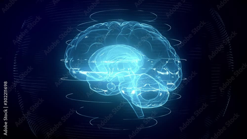 Futuristic blue digital brain seamless loop. Neurons firing in MRI scan ...